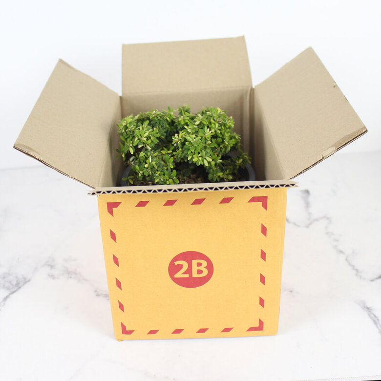 กล่องเบอร์ F 45x30x20 cm (ยxกxส) สีน้ำตาลทอง(KA) - หงส์ไทย - โรงงานผลิต ...