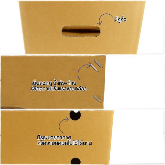 กล่องผลไม้ Size M+ (ขนาดและสเปกเดียวกับ Kerry) - หงส์ไทย - โรงงานผลิต ...