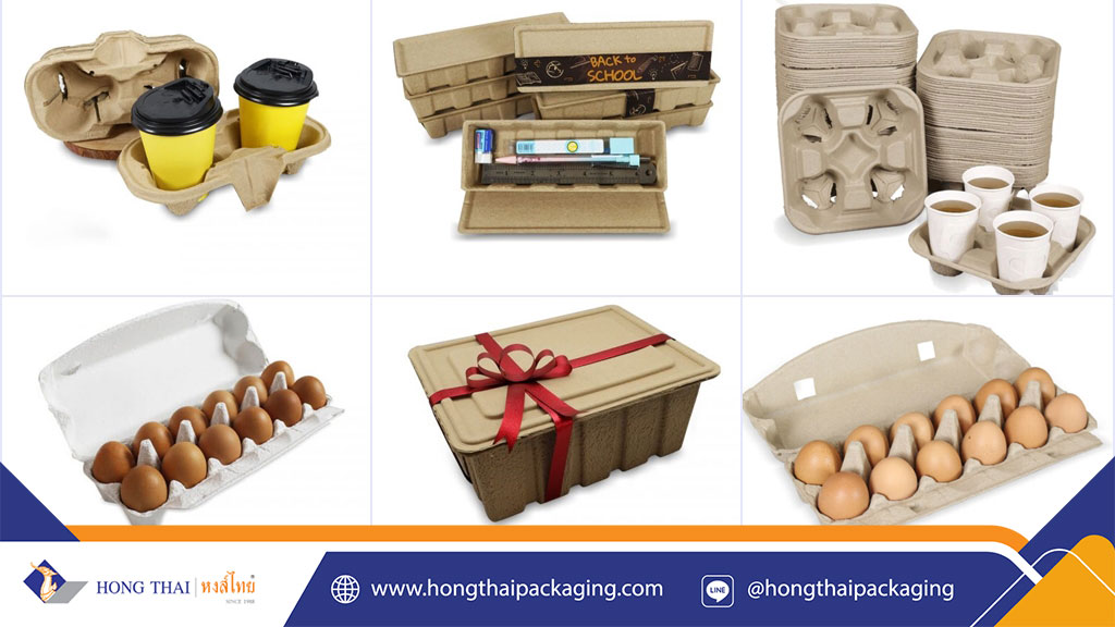 เยื่อกระดาษขึ้นรูป คือ ? และมีบรรจุภัณฑ์ยอดนิยมแบบไหนบ้าง